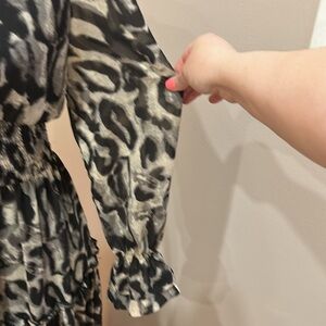 Toleen | Dresses | Nwt Toleen Animal Print Maxi Dress Chiffon Sheer ...